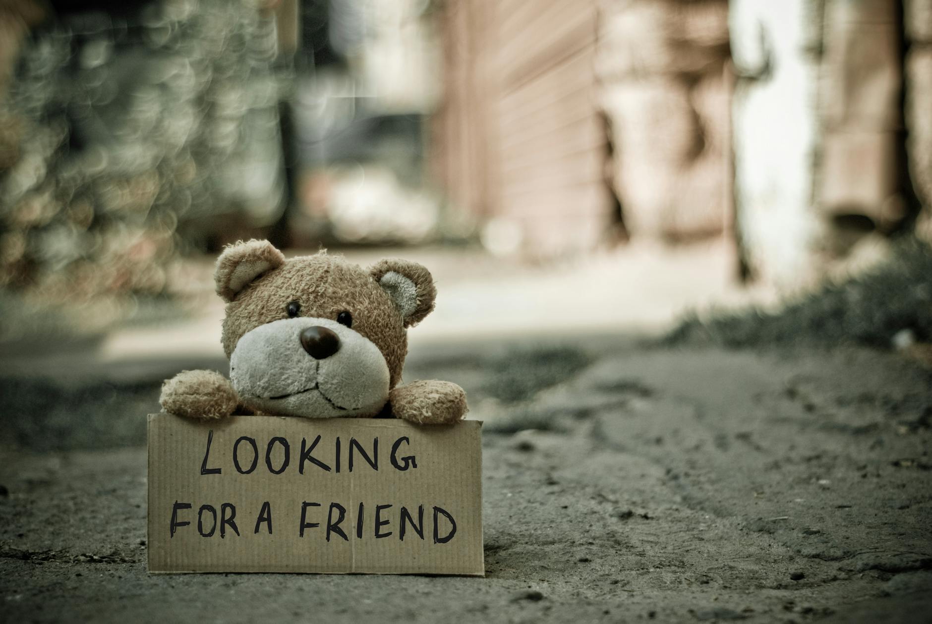 Loneliness In An Interconnected World - Choublak